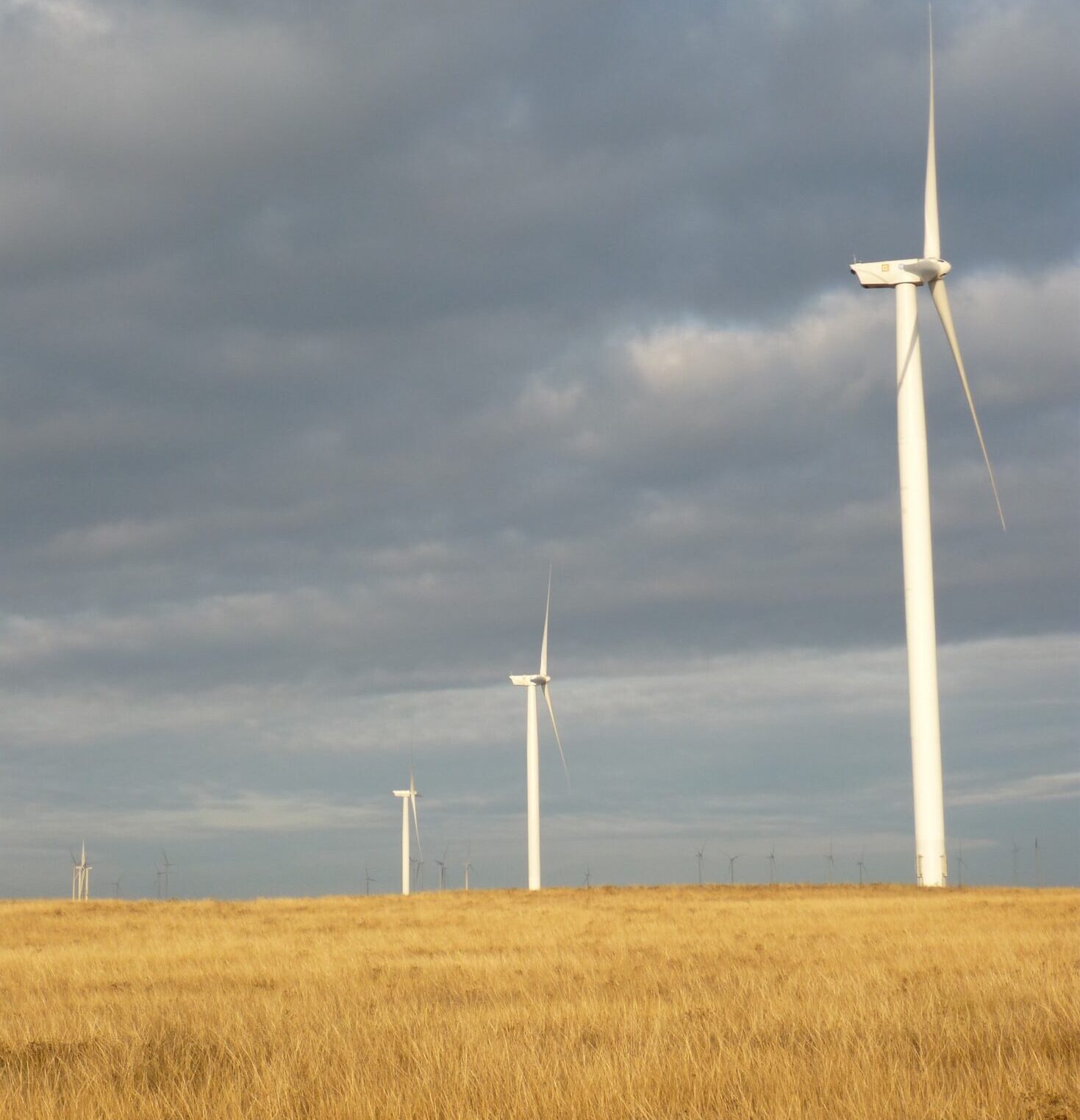 Realizarea Parcului Eolian Fantanele si Cogealac - Viarom